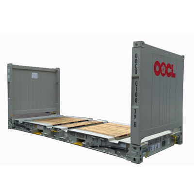 20' FT Flatrack Container: dfichk